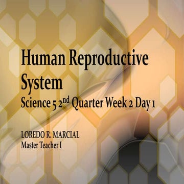 Human Reproductive System Week 2 Day 1 Pptx