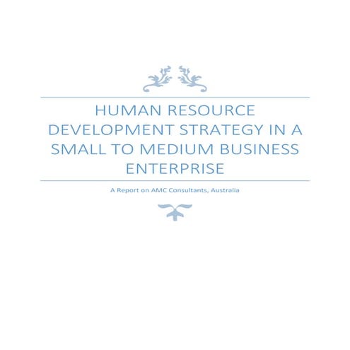 Human resource development strategy in a small to medium business ...