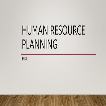 Human Resource Planning for a hospital example | PPTX