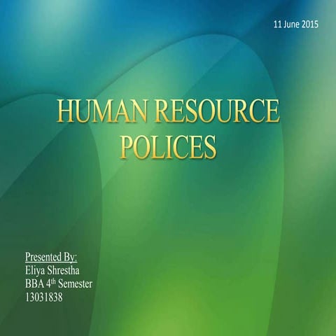 Summer Project On Human Resource Policy of Nepal Airlines Corporation ...