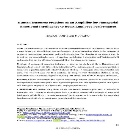 Human Resource Practices as an Amplifier for Managerial Emotional ...