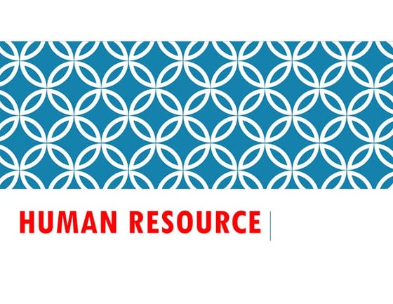 ch 5.pptx of chapter Humans Resources class 8th NCERT | PPTX