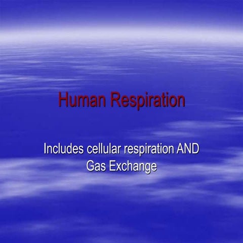 Grade 8 - Respiratory System | PPT