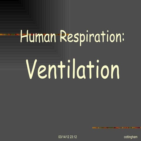 Human respiration ib master | PPT