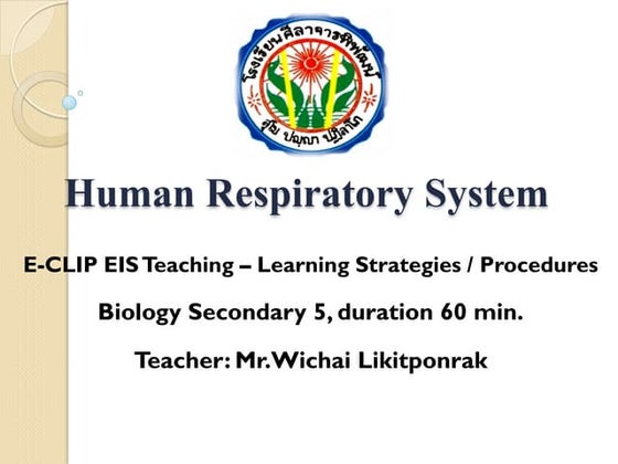 The Human Respiratory system for Grade 5 | PPTX