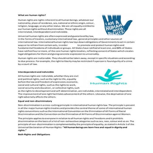 Human rights | PDF