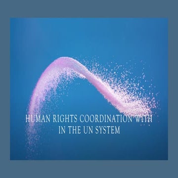 HUMAN RIGHTS COORDINATION WITH IN THE UN SYSTEM.pptx