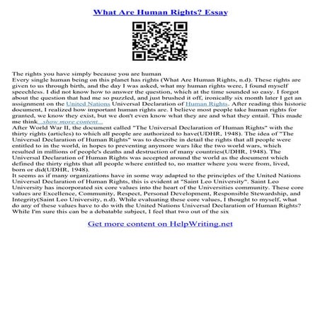 Human Rights Essay Writing | PDF