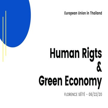 Human Rights & Green Economy | PDF