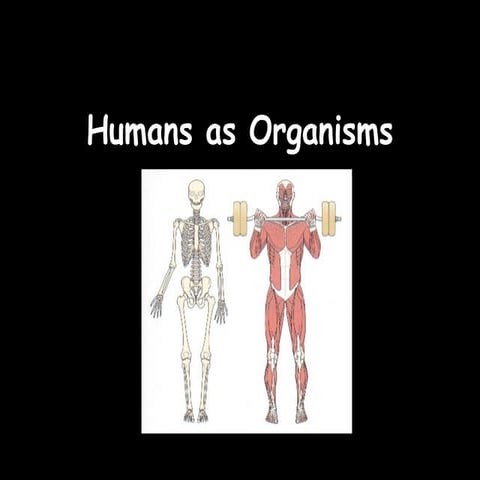 Humans as organisms (Year 10 Bio) IGCSE | PPS