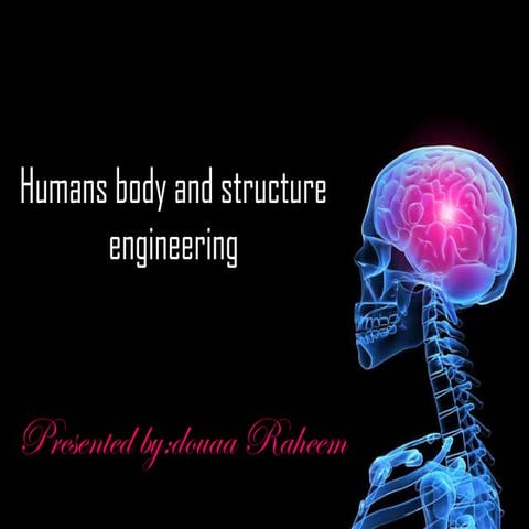 Humans body and structure engineering | PPT