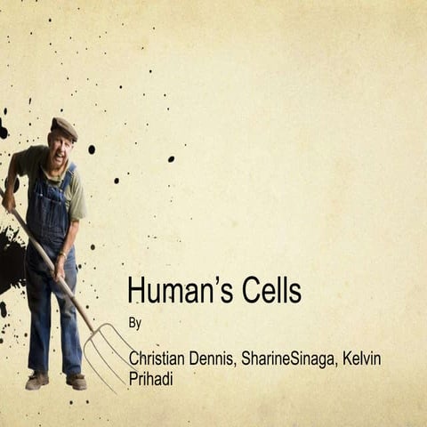 Human's cell | PPT