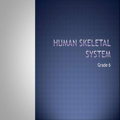 Human skeletal system | PPT