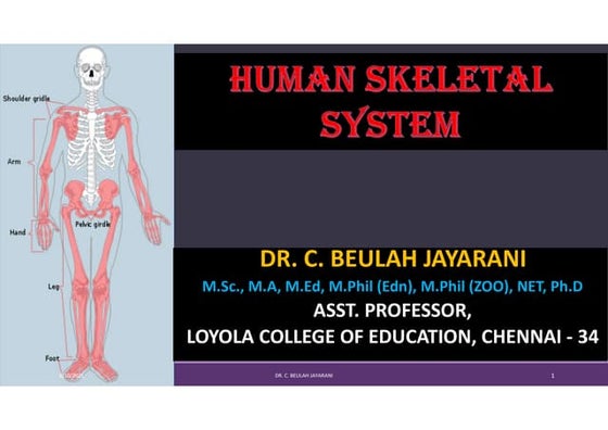 Chapter 21 Skeletal | PPT