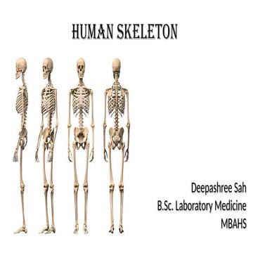 Human Skeleton points to remember .pptx
