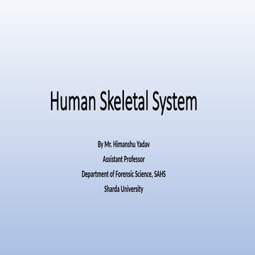 Human Skeleton System an Introduction of bones | PPT
