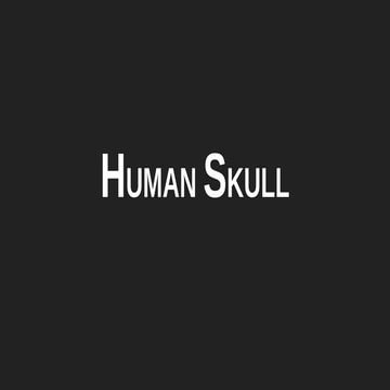 Human skull in Various View | PPT