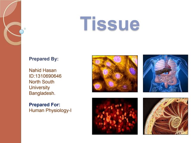 Types Of Microtomes In Histopathology | PPTX