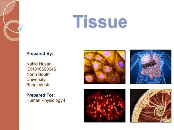 Tissues, types and functions(Anatomy)- Easy explanation | PDF ...