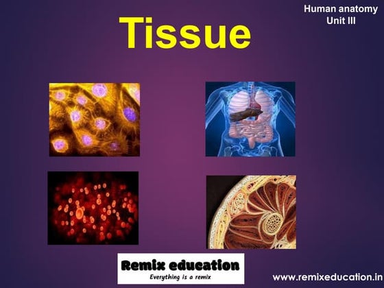 General histology.(introduction) | PPT | Endocrine and Metabolic ...