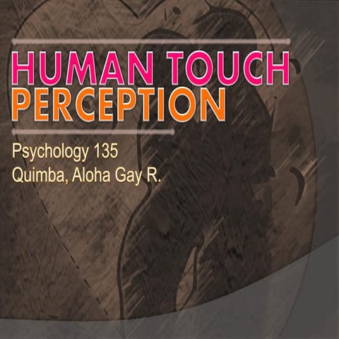 Human touch perception | PPT