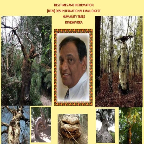 Human trees presentation1 | PPTX