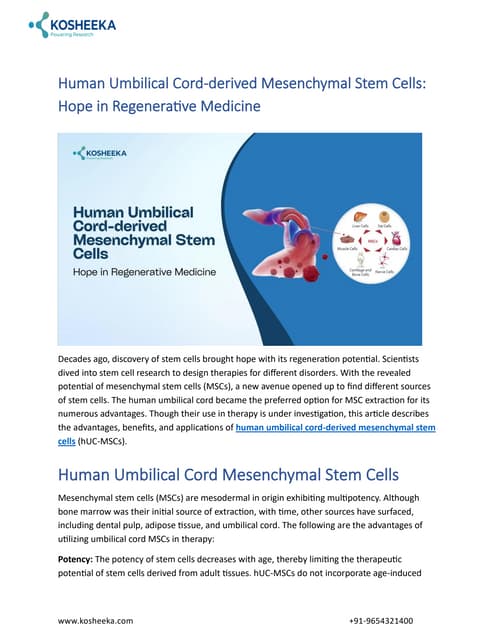 Human Umbilical Cord Derived Mesenchymal Stem Cells (hUC-MSCs).pptx | Physical Therapy | Wellness