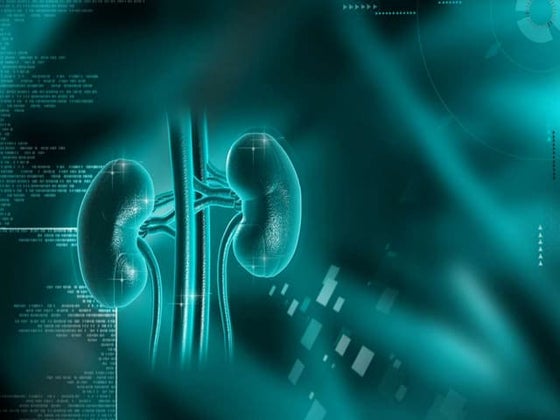 URINARY BLADDER.pptx