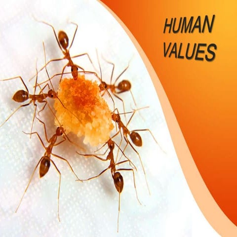 Human values | PPT