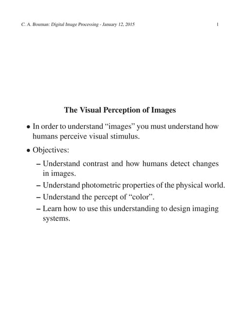 The visual system | PDF