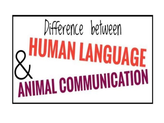 Animal communication and human language | PPTX