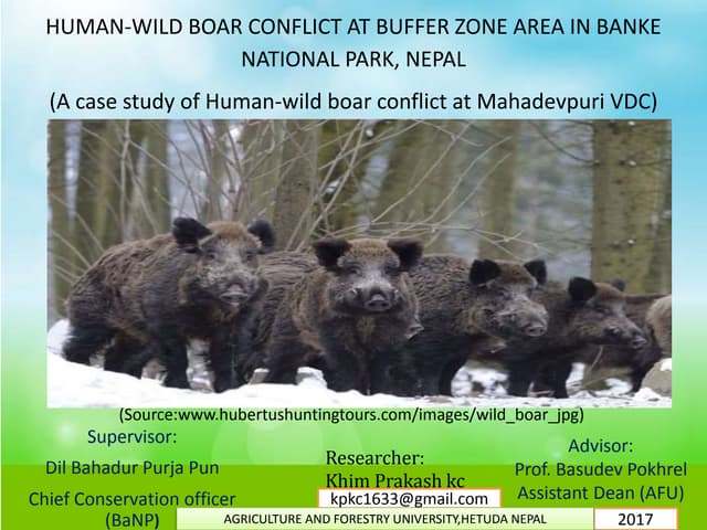 Human wildlife conflict | PPTX