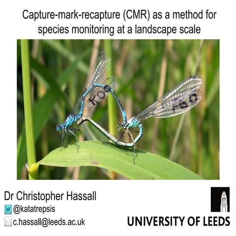 Capture Mark Recapture Cmr As A Method For Species Monitoring At A
