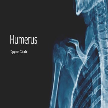 Humerus bone osteology: Upper limb Anatomy | PPTX
