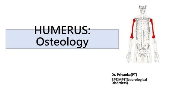Humerus Bone and attachments | PPT