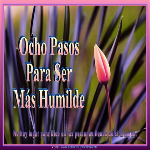 8 Pasos para ser Humilde | PPS