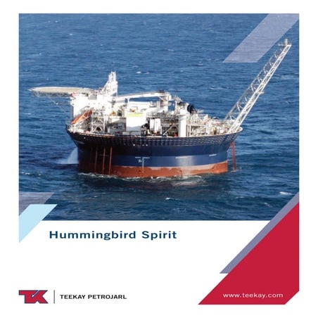 Hummingbird Spirit Factsheet | PDF