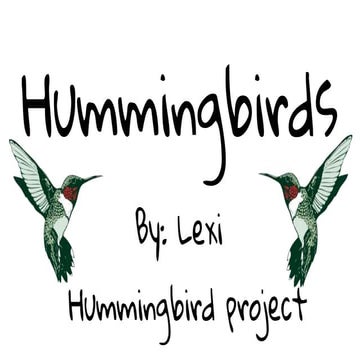 Hummingbirds | PPTX