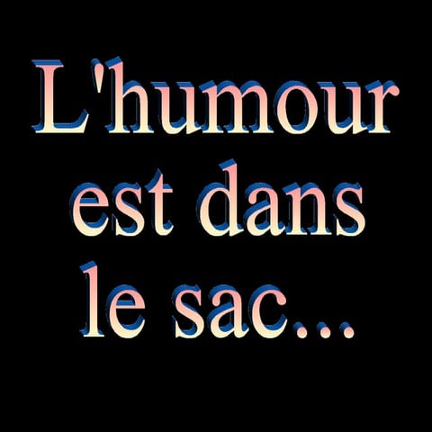 Humour en sacs (jp) (1) | PPS