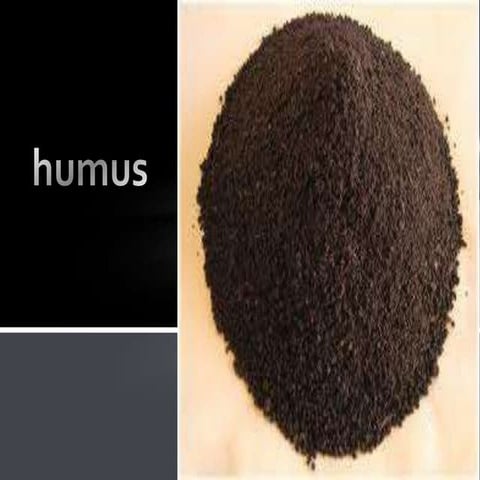 Humus | PPTX | Geology | Science