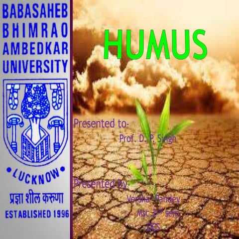 Humus ppt | PPTX