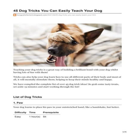 45 dog tricks you can easily teach your dog | PDF