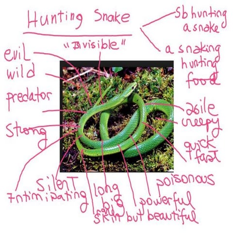 Hunting snake | PDF