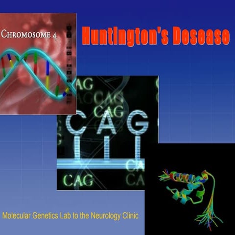 Huntingtons disease | PPT | Brain and Nervous System Disorders ...
