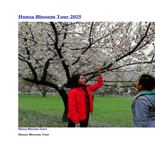 Hunza Blossom Tour. Hunza Cherry Blossom | PDF