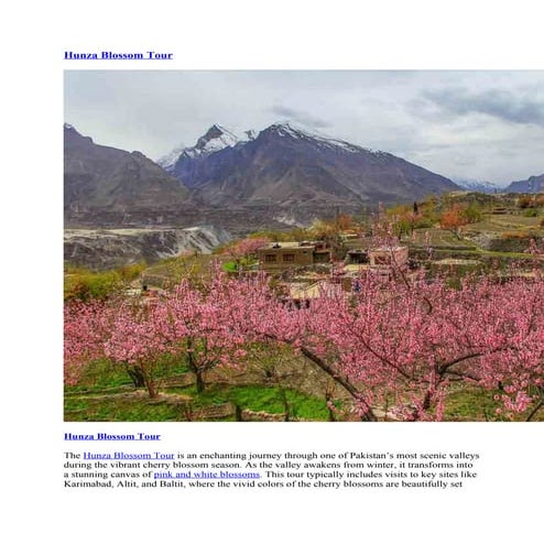 Hunza Cherry Blossom Tour 2025. Hunza Blossom Tour | PDF