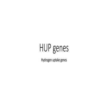 HUP genes.pptx