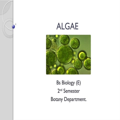 Algae notes (1) | PDF
