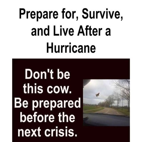 Prepare for, Survive and Live After a Hurricane | PPTX