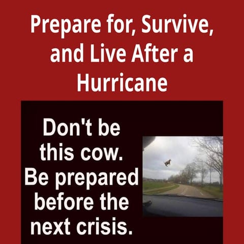 Prepare for, Survive and Live After a Hurricane | PPTX